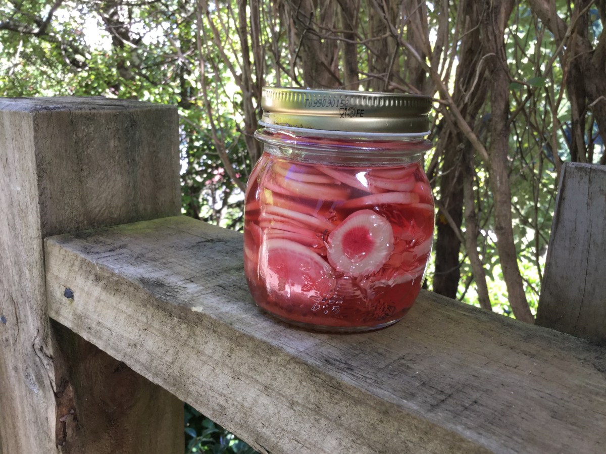 A simple pickle – Thistles and Kiwis